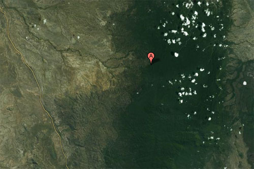 satellite | Beetles In The Bush