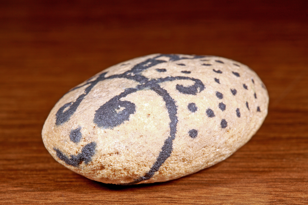 These bugs rock! | Beetles In The Bush