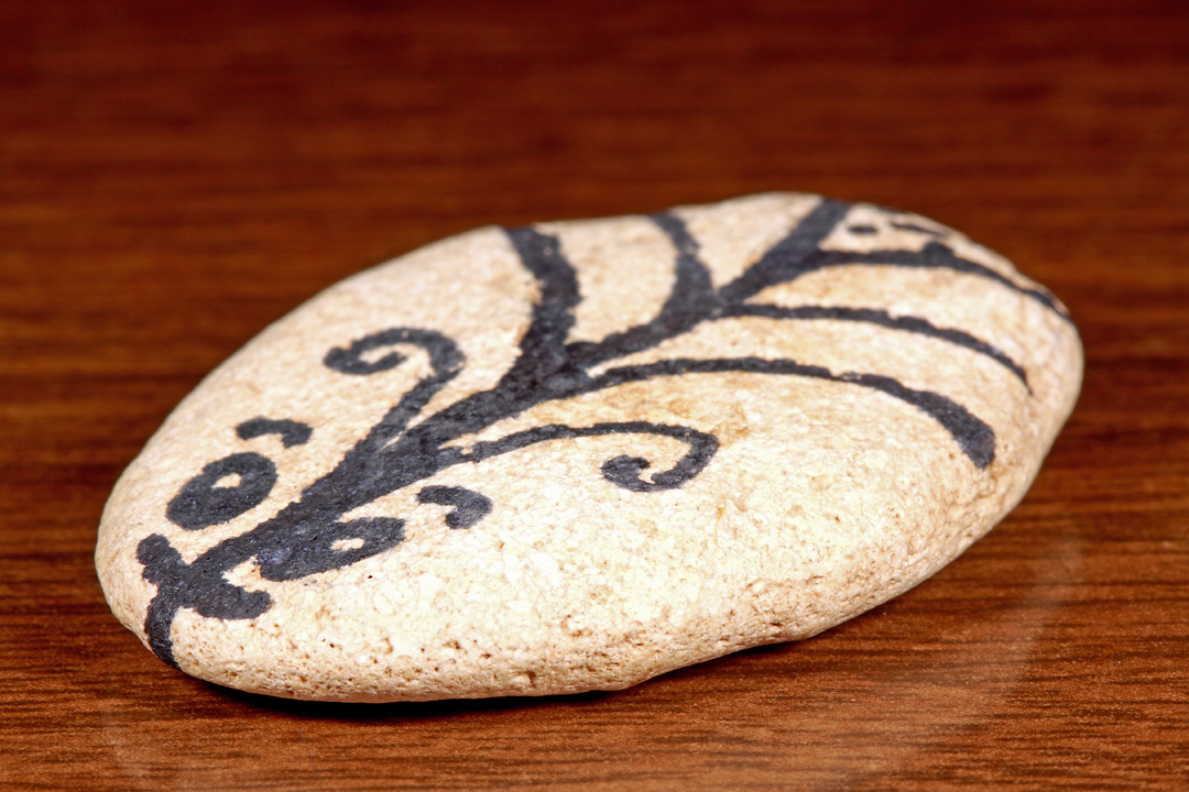 These bugs rock! | Beetles In The Bush