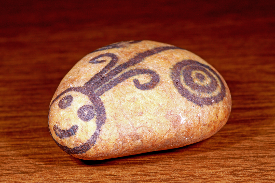 These bugs rock! | Beetles In The Bush