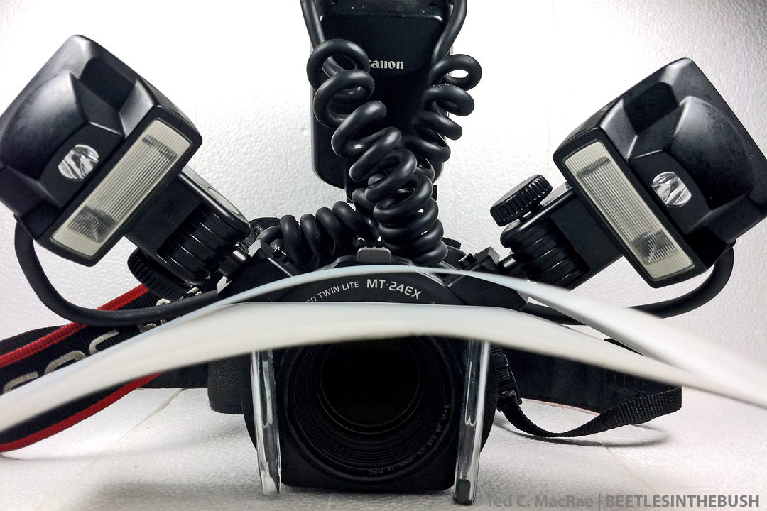 Oversized, double-concave diffuser for MT-24EX twin flash | Beetles In ...