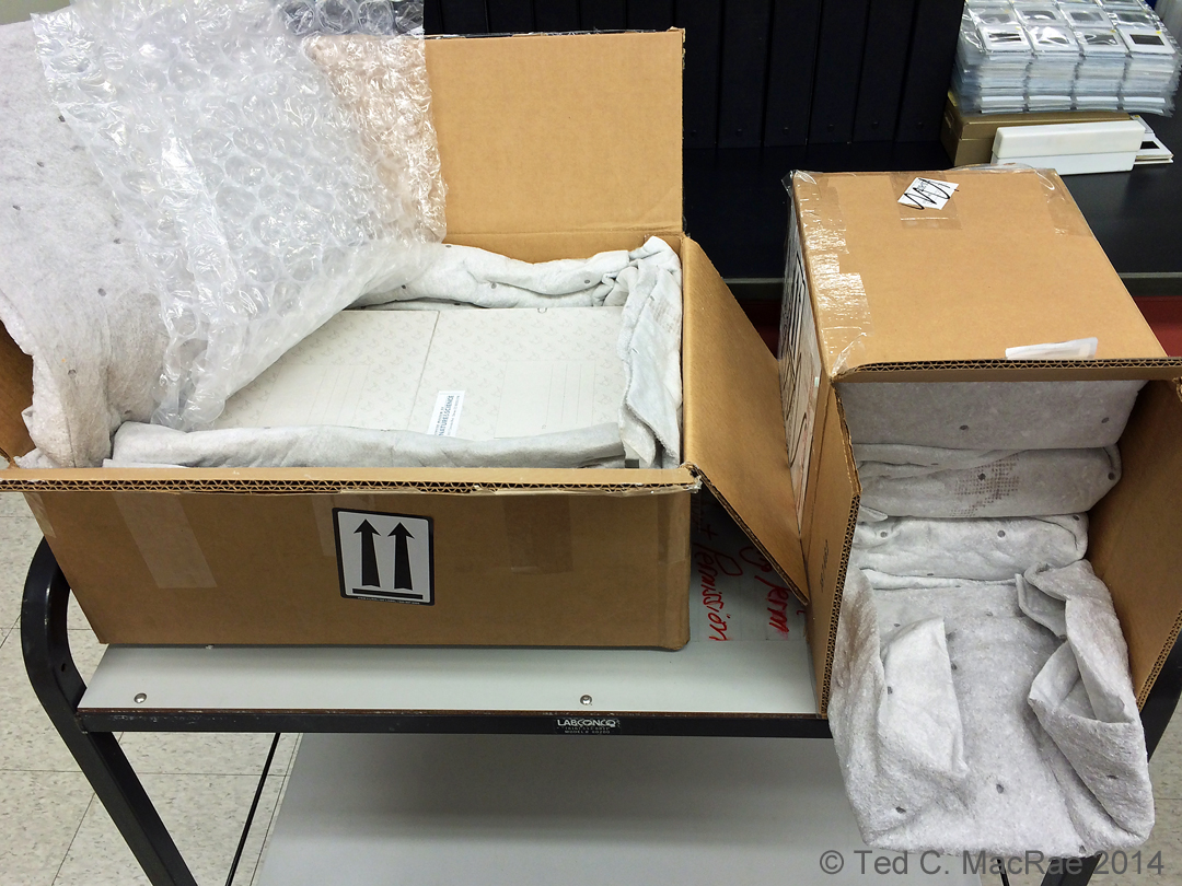 Receiving a shipment of insects for identification… | Beetles In The Bush