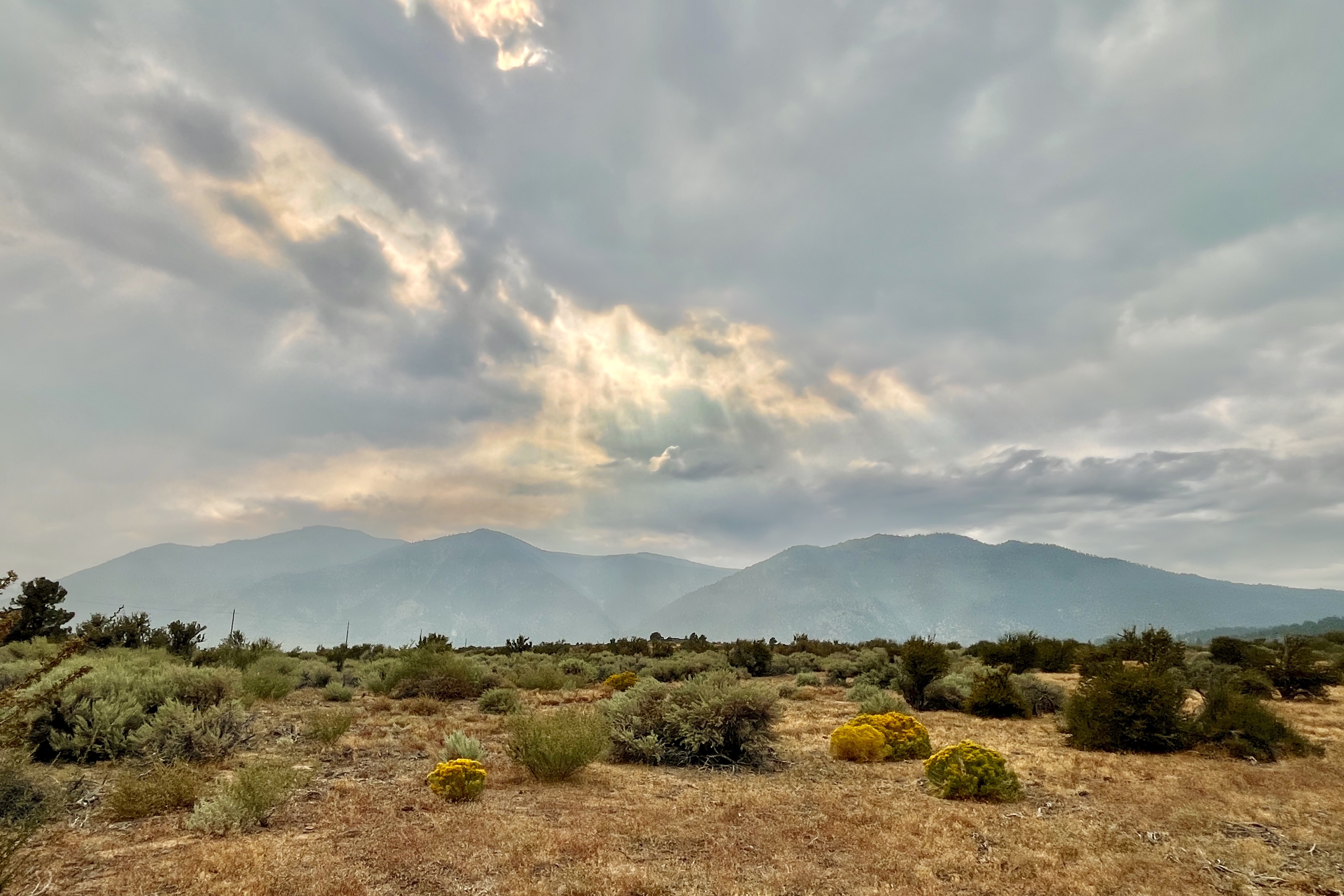 A rare opportunity to do fall insect collecting in western North ...